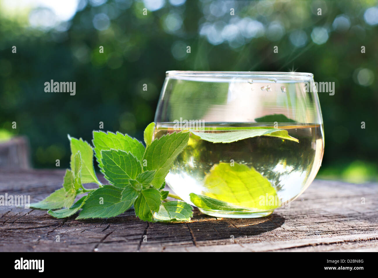 Fresh mint tea in a glass cup, outdoors Stock Photo - Alamy