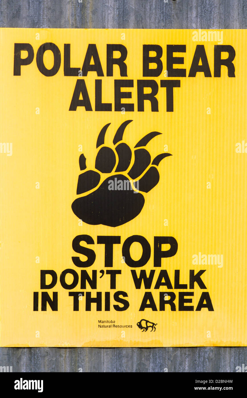 Danger sign polar bears churchill manitoba canada hi-res stock ...