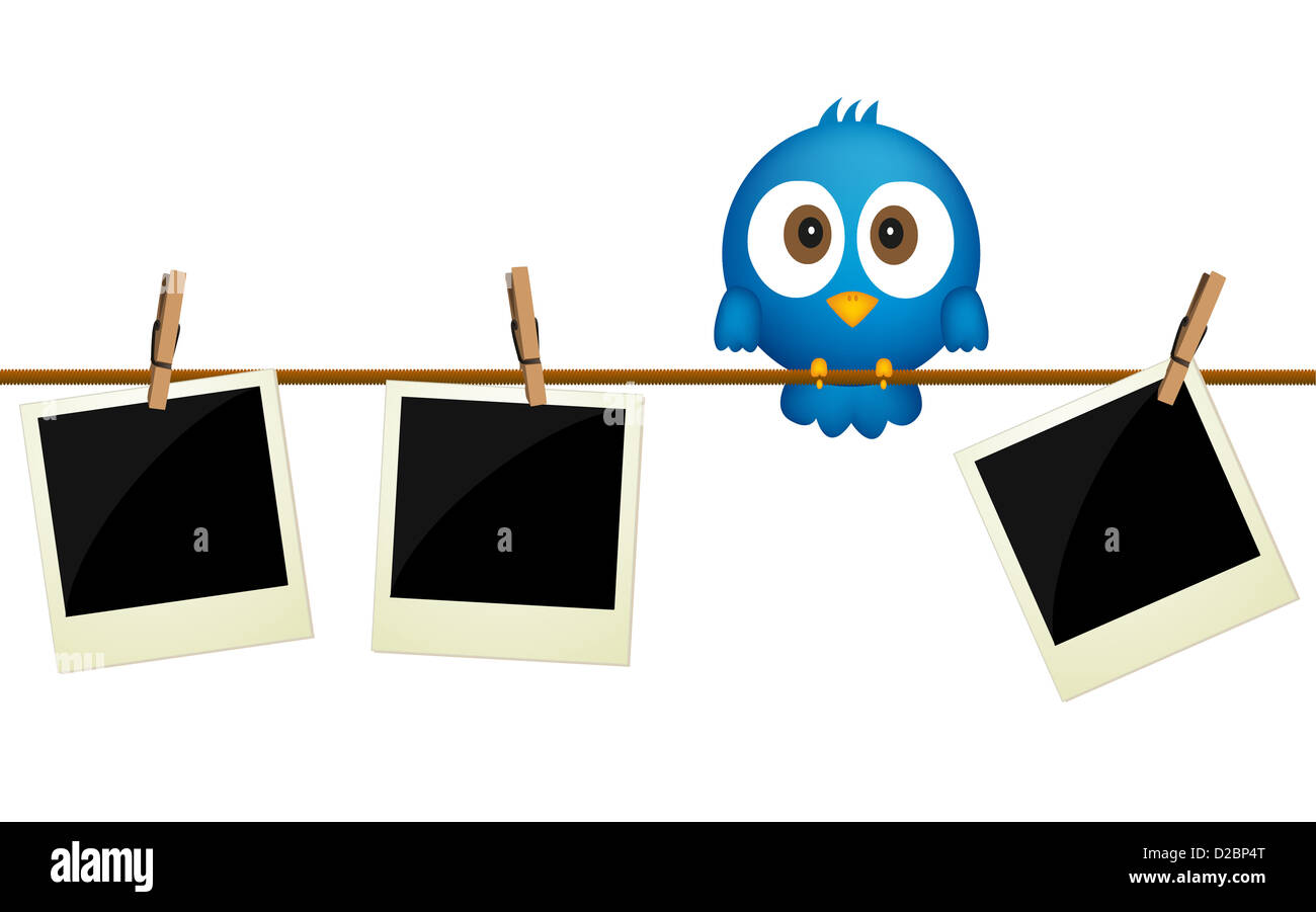 Three blank photos hanging on rope with blue bird sitting between them ...