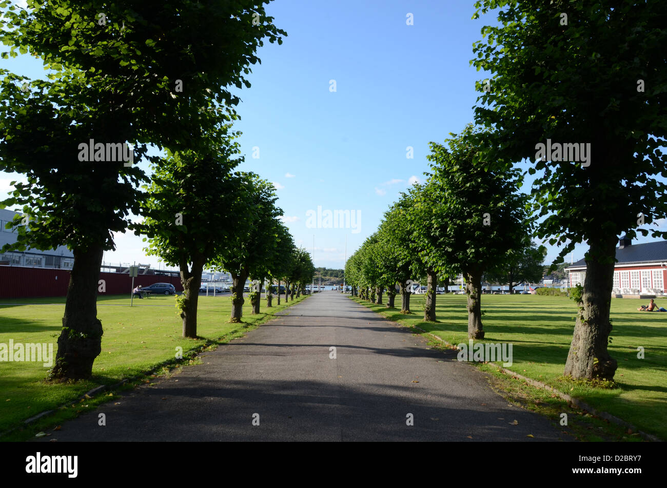 Avenue with trees and greenery lawn Stock Photo - Alamy