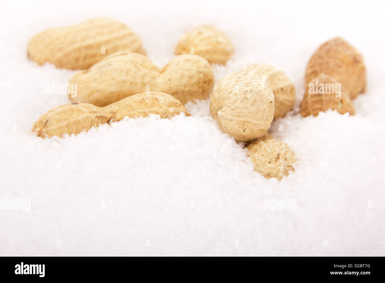 Peanuts in snow Stock Photo - Alamy
