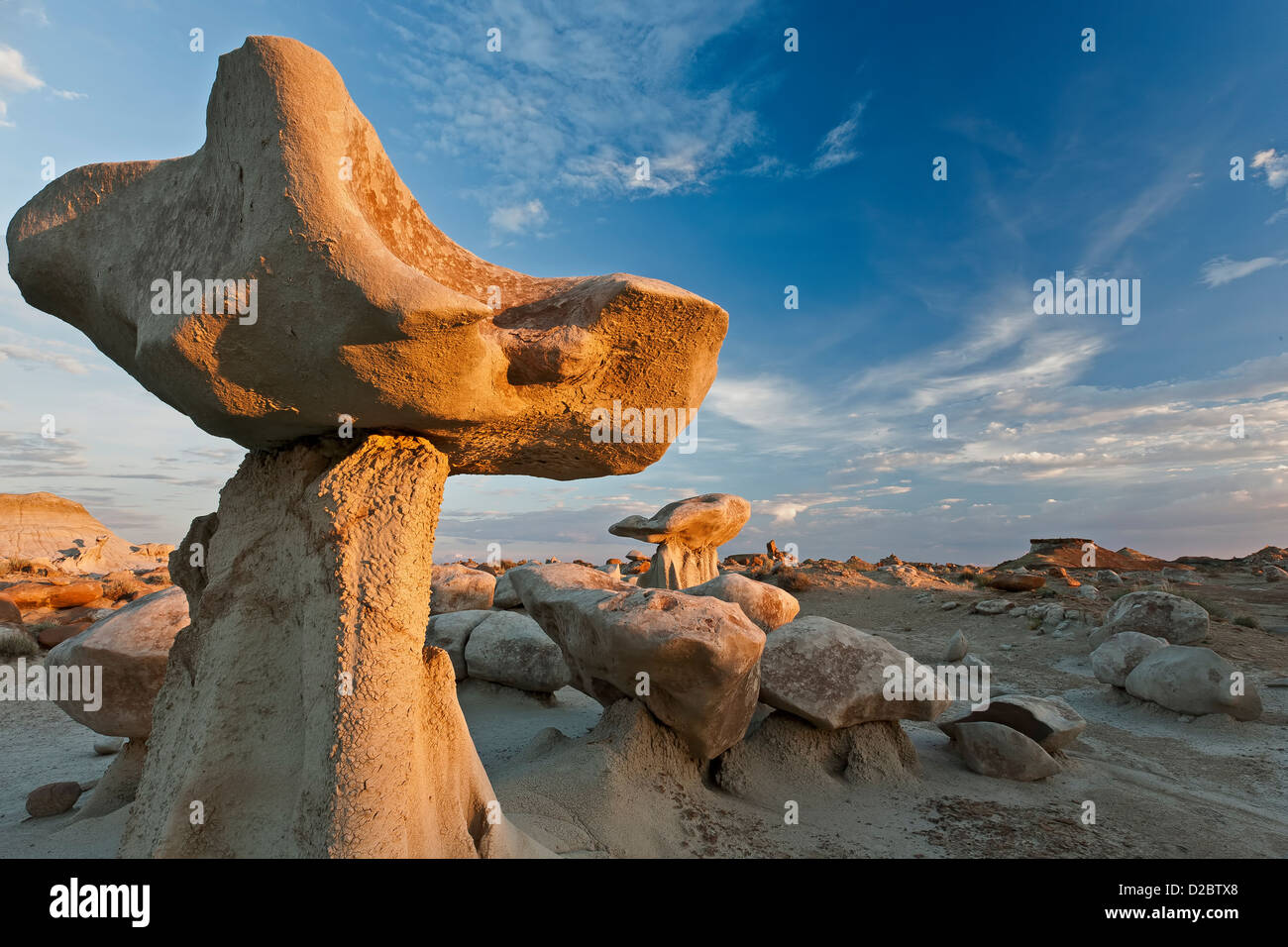 "Mushroom" rocks and boulders, Bisti Wilderness Area, New Mexico USA ...