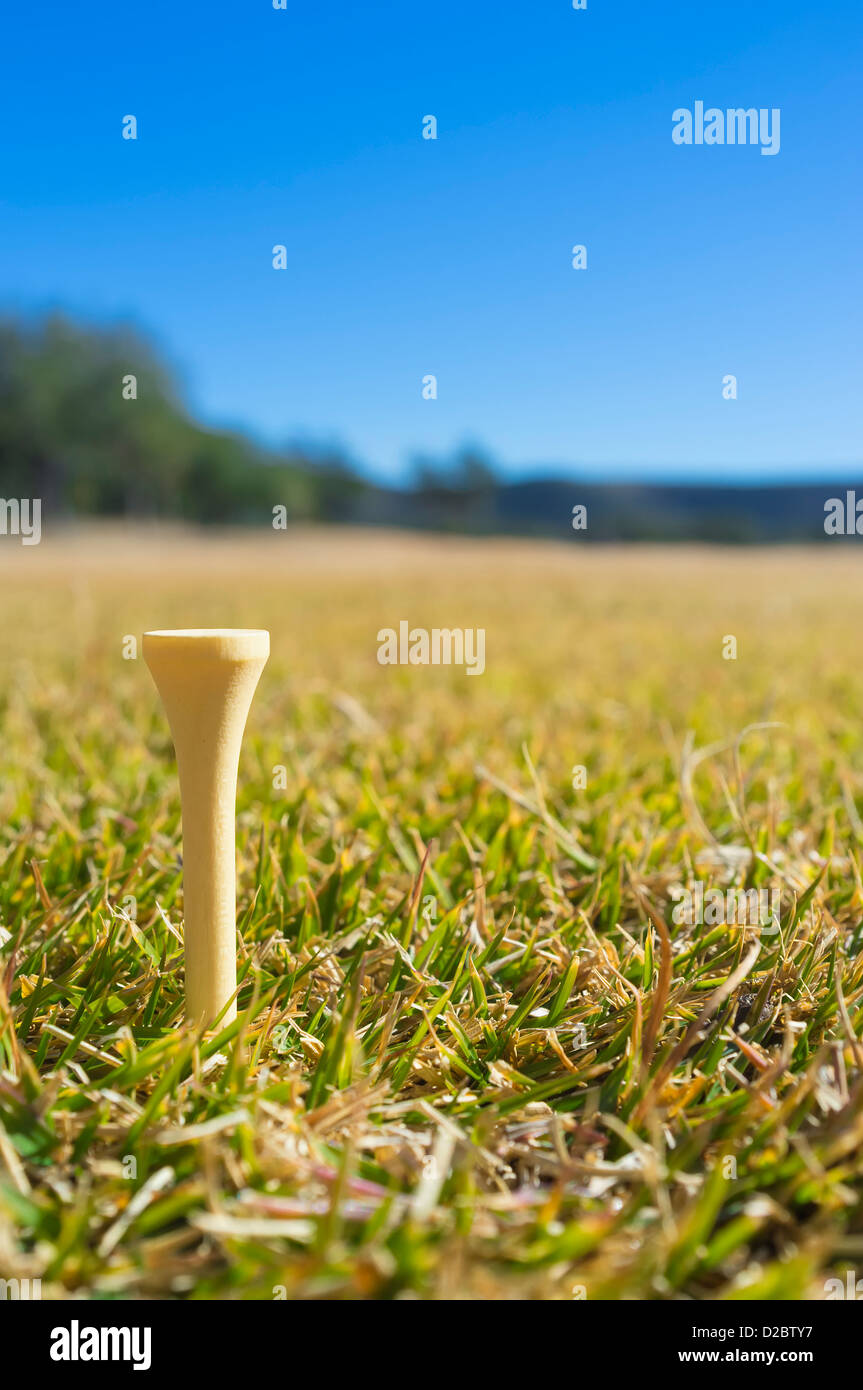 Close up of tee on a golf course, Texas, USA Stock Photo - Alamy