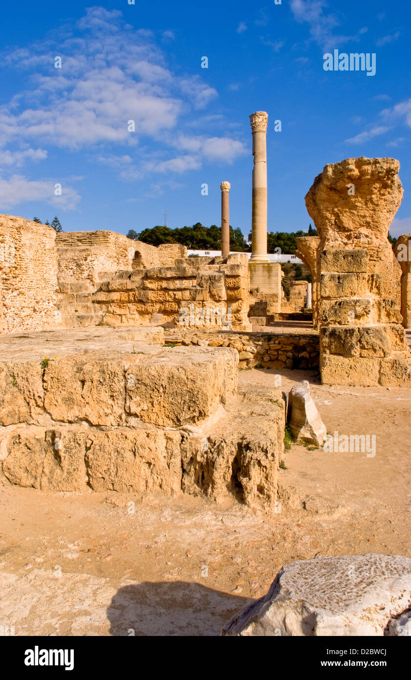 Carthage, Tunisia. Old City With Roman Baths Of Antoninus Pius Stock ...