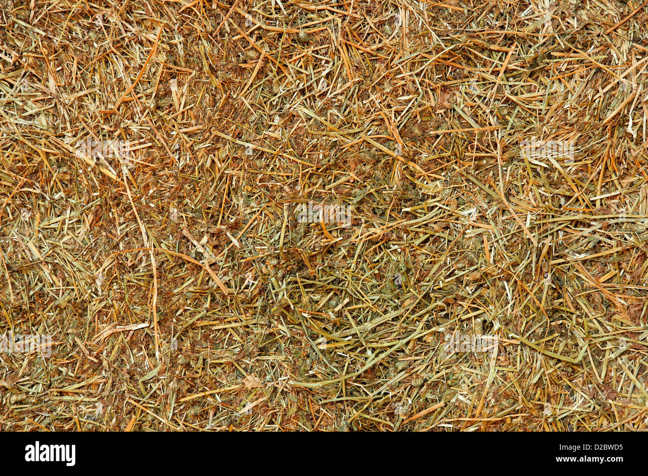 Hay texture background Stock Photo - Alamy