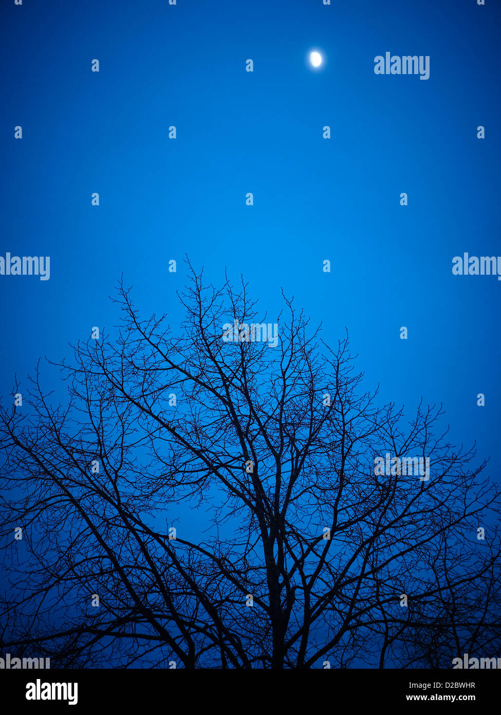 Sun peeping through clearing morning fog Stock Photo - Alamy