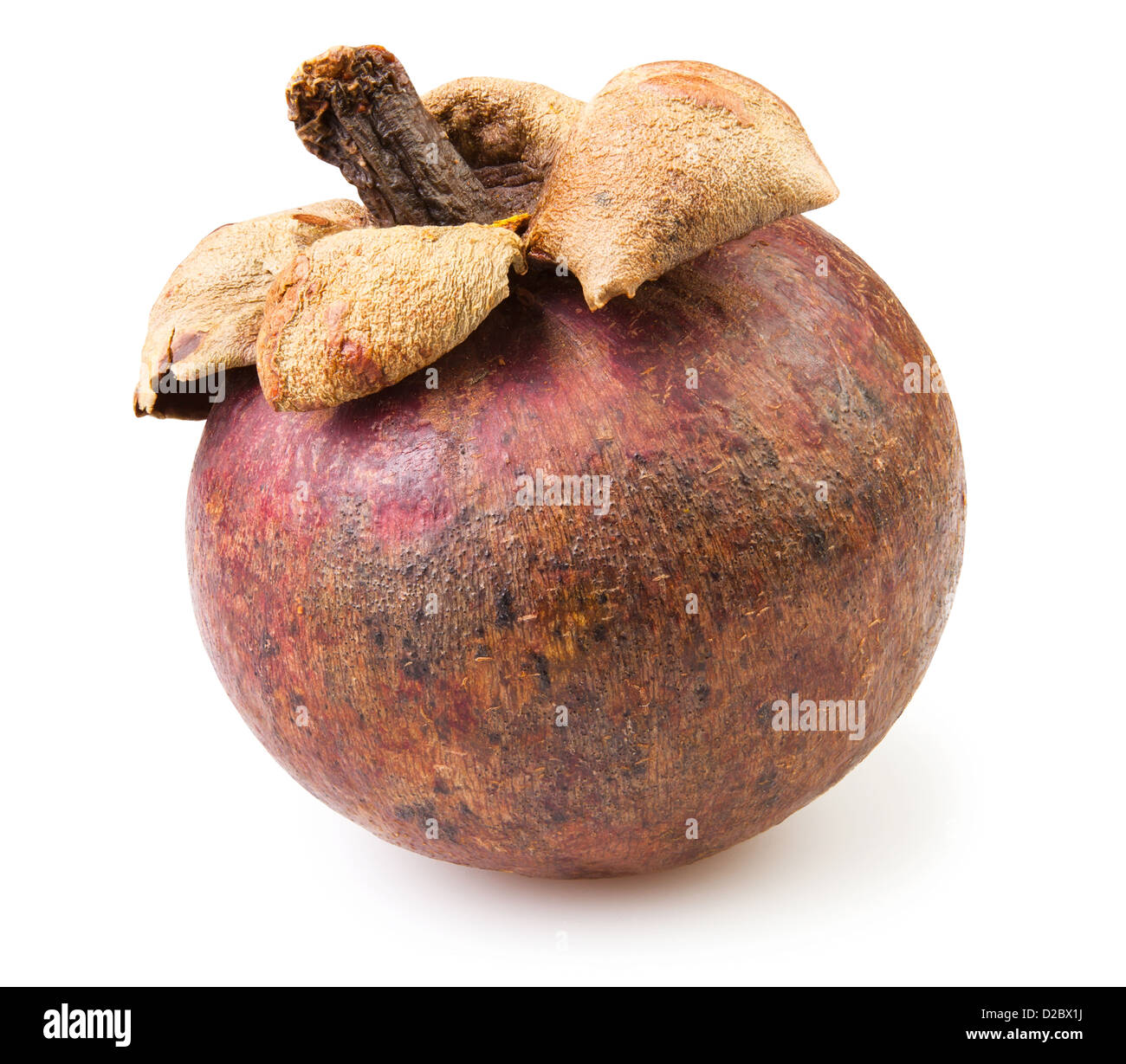 mangosteen one on white background Stock Photo - Alamy