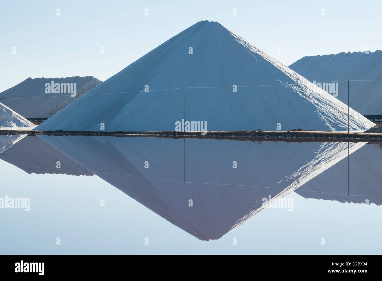 Sea water salt plant Stock Photo - Alamy