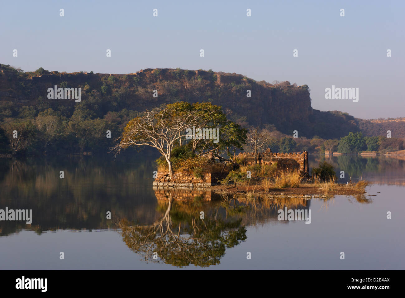 A view of Padam Talao or lake in Ranthambore National Park, Rajasthan ...