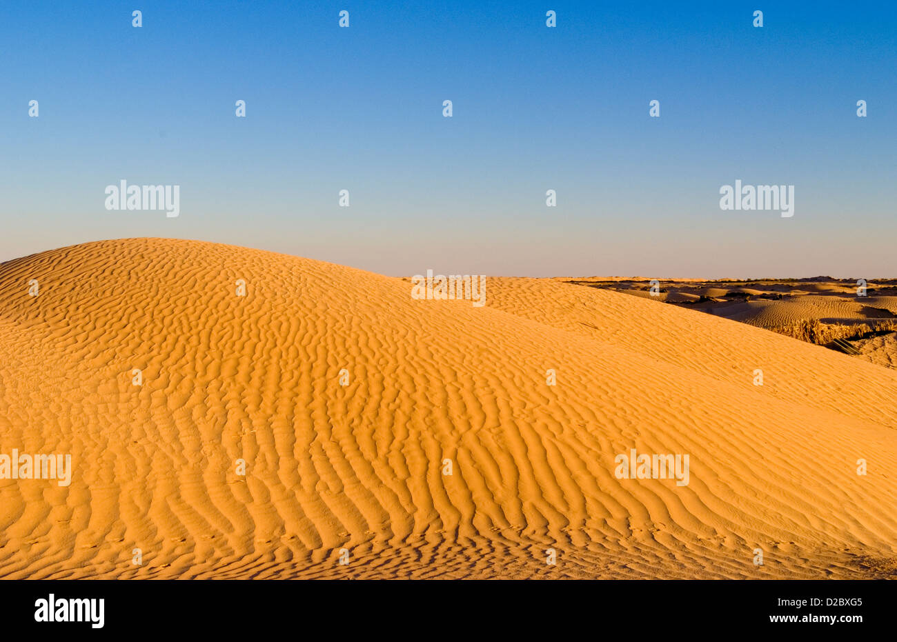 Ripples In Sand In The Sahara Desert In Douz In Tunisia Stock Photo - Alamy