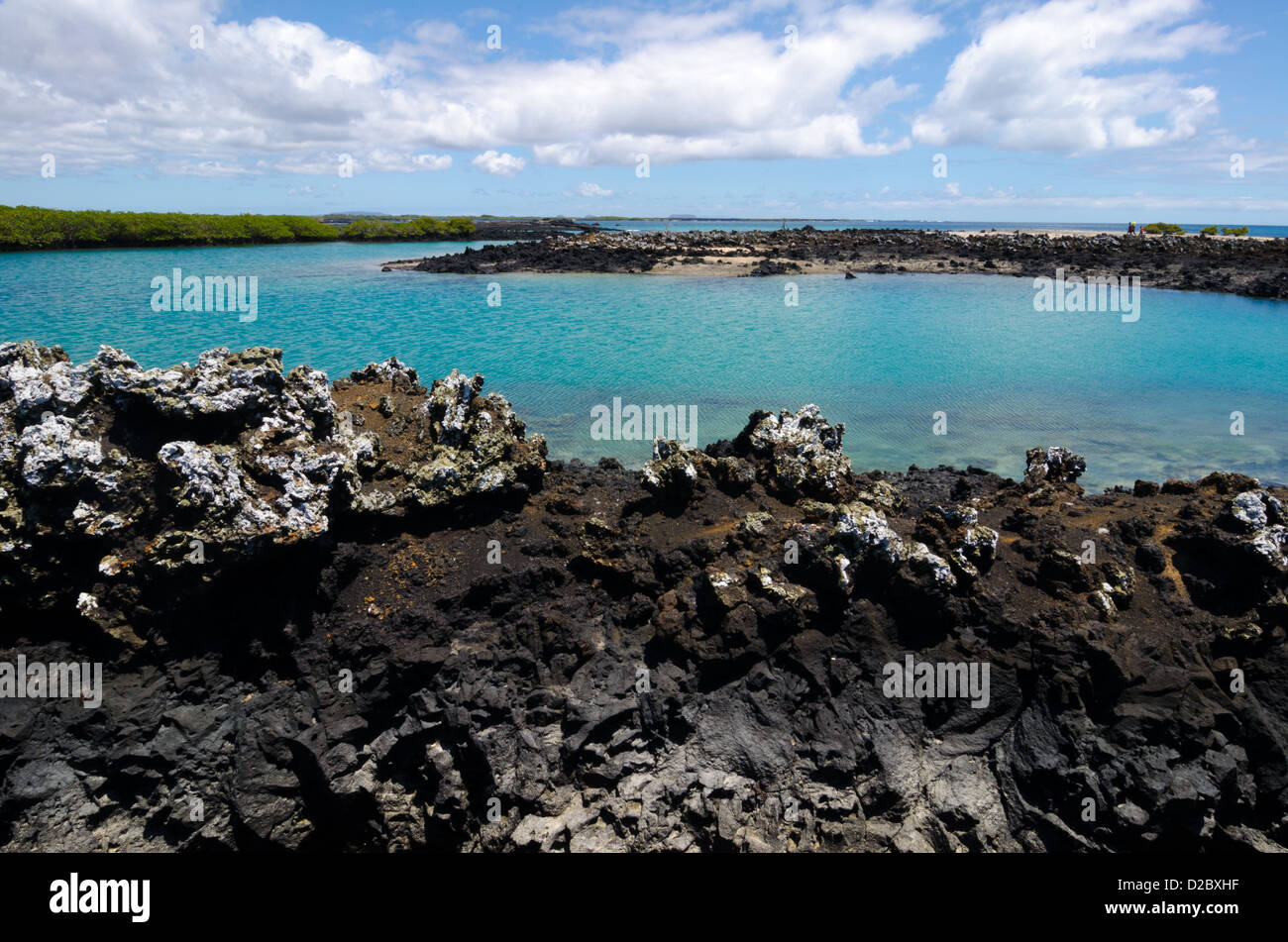 Isabela Island HC8/G8OFQ Isabela Island Galapagos Islands News