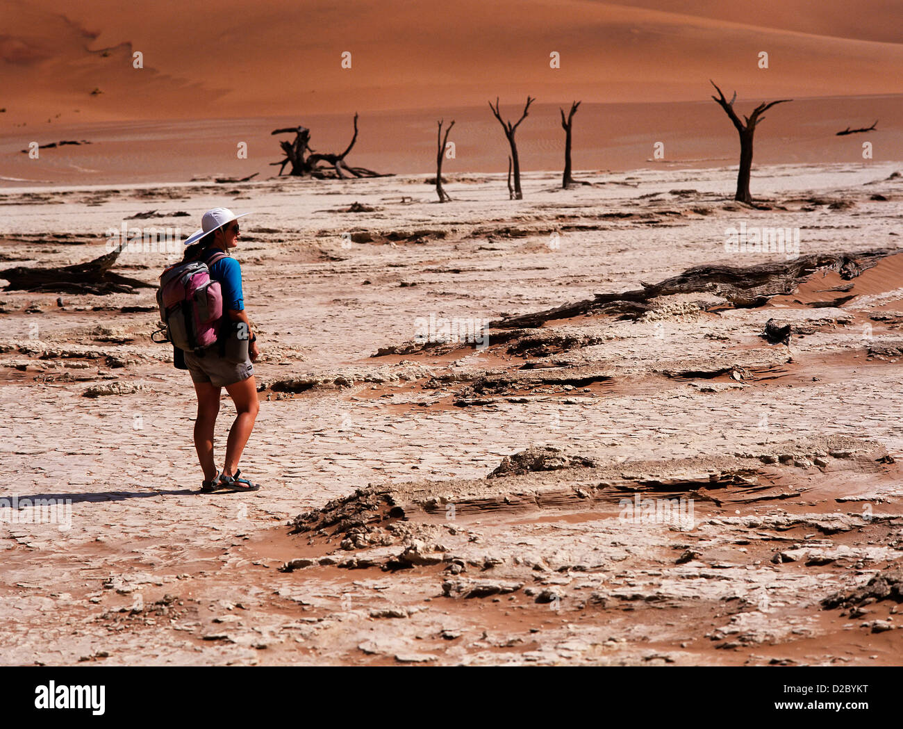 Backpacker in a vlei in the Namib desert, Namibia, Africa Stock Photo ...
