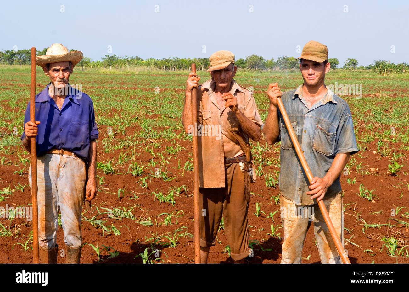 Black farmers hi-res stock photography and images - Alamy