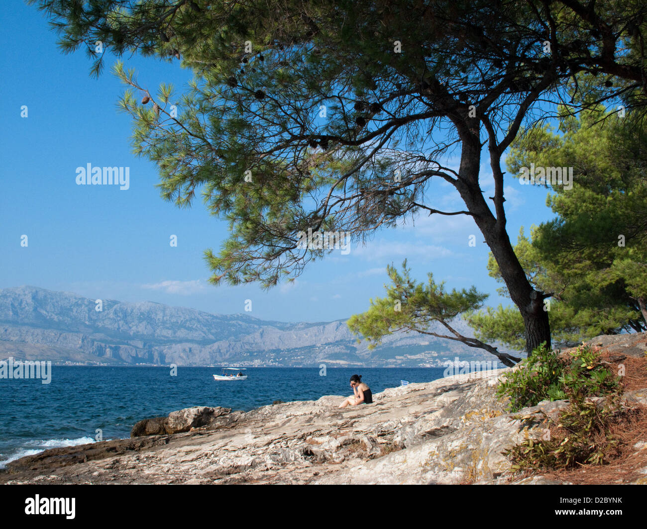Postira, Croatia, Island of Brac, Felsenkueste with pinewood Stock ...