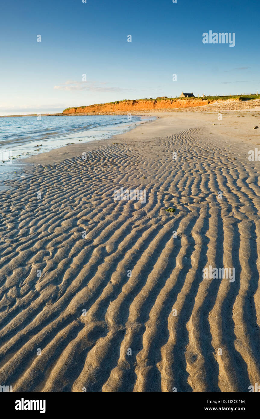 Stronsay High Resolution Stock Photography and Images - Alamy