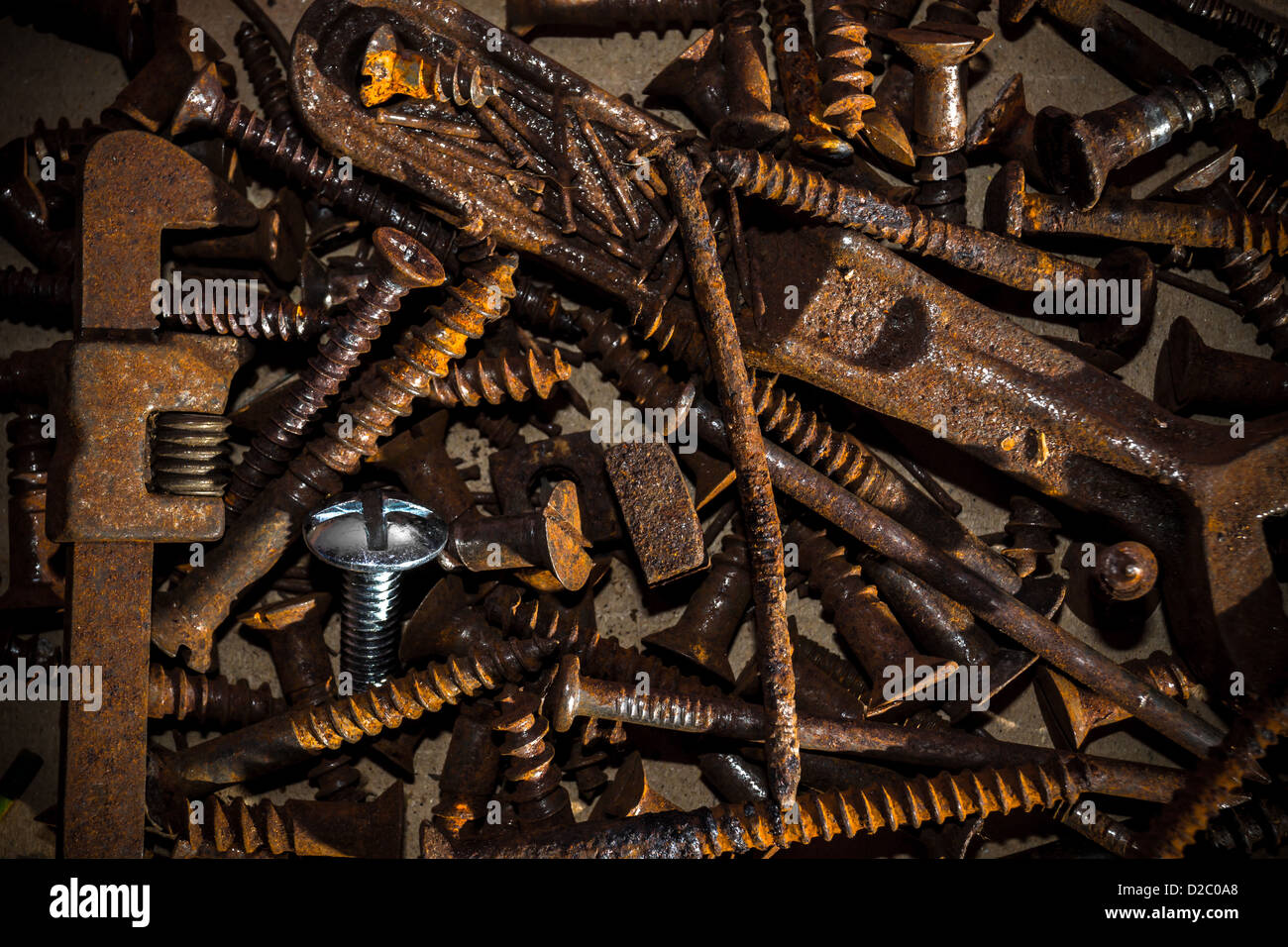 Rusty Screws