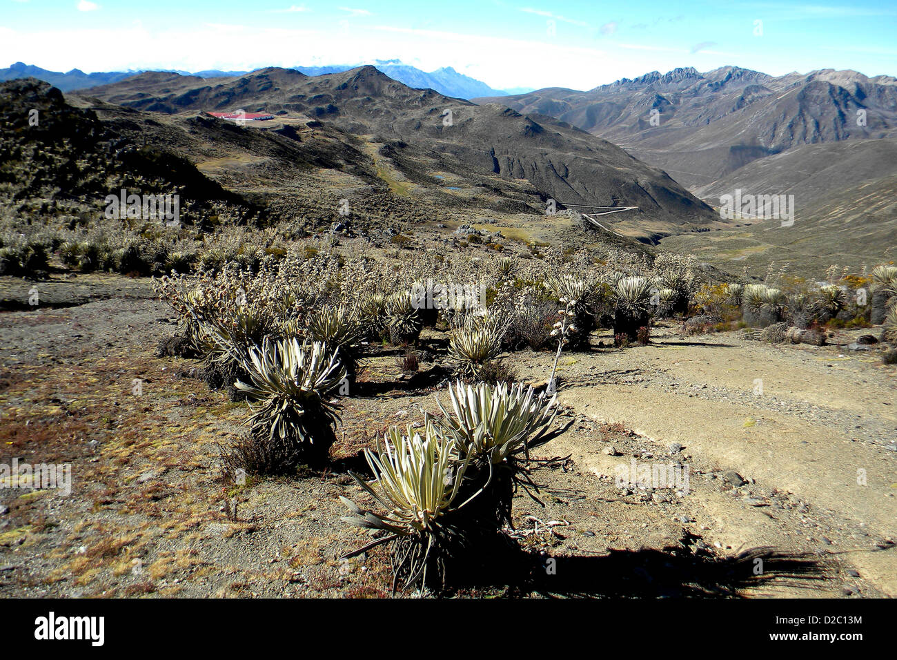 Venezuela, Merida, Andes eagles Stock Photo - Alamy