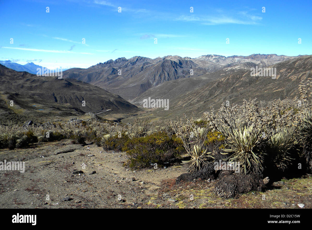 Eagles of south america hi-res stock photography and images - Alamy