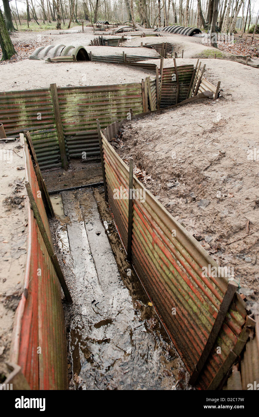 Part of the system of World War One trenches at Sanctuary Wood near ...