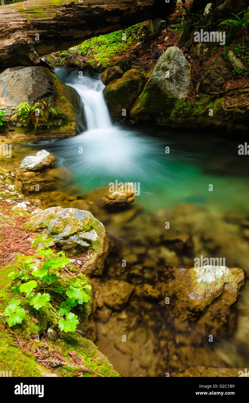 Cascade on Hare Creek, Lime Kiln State Park, Big Sur, California USA ...