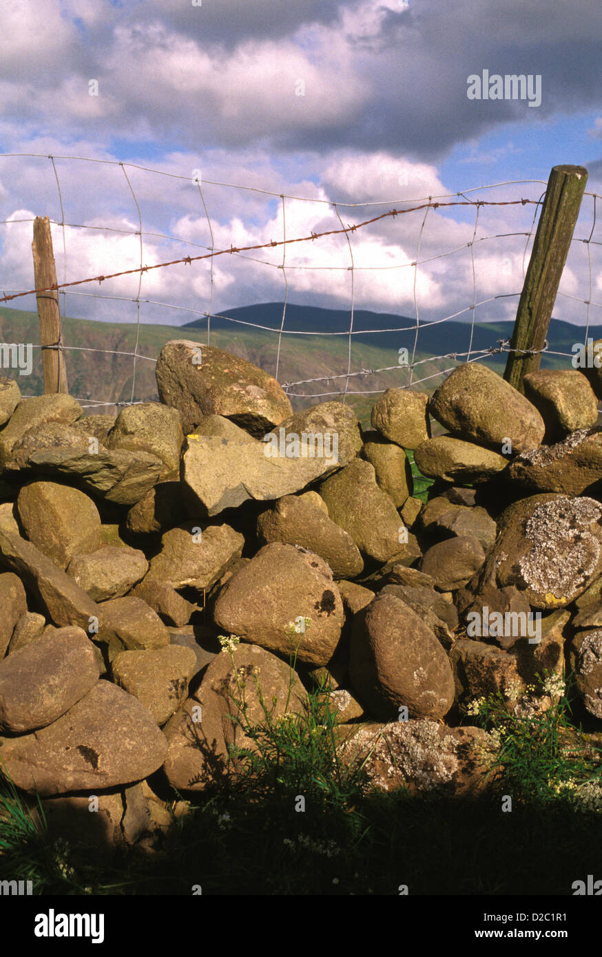 Stone Wall And Wire Fence Stock Photo - Alamy