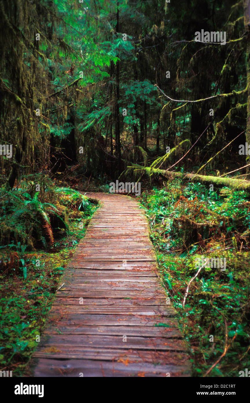 Quinalt loop hi-res stock photography and images - Alamy