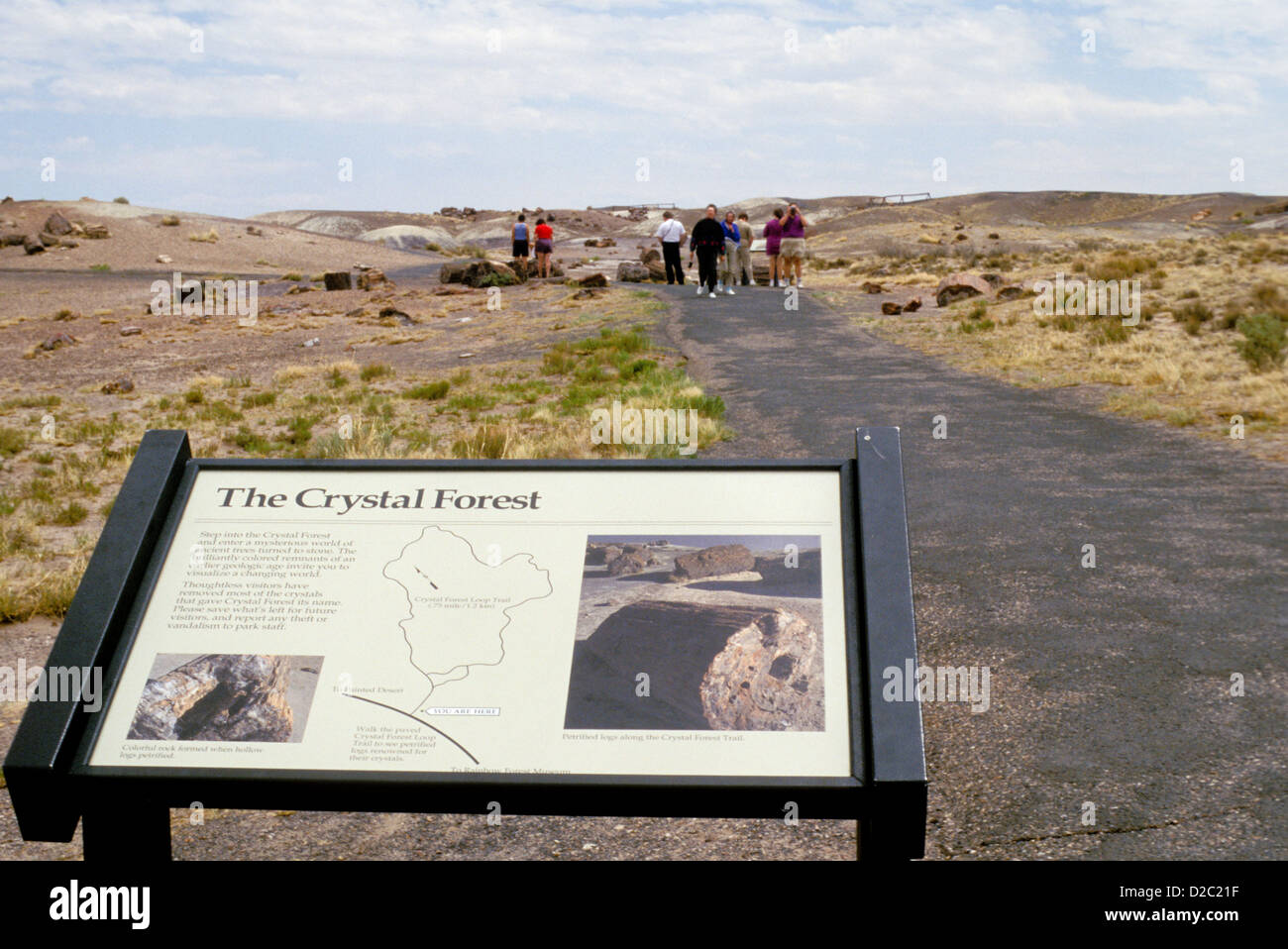 Arizona. Petrified Forest National Park. The Crystal Forest Stock Photo ...