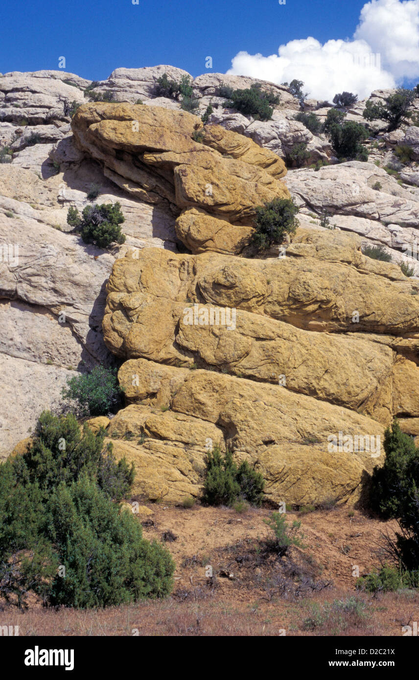 Colorado. Dinosaur National Monument Stock Photo - Alamy