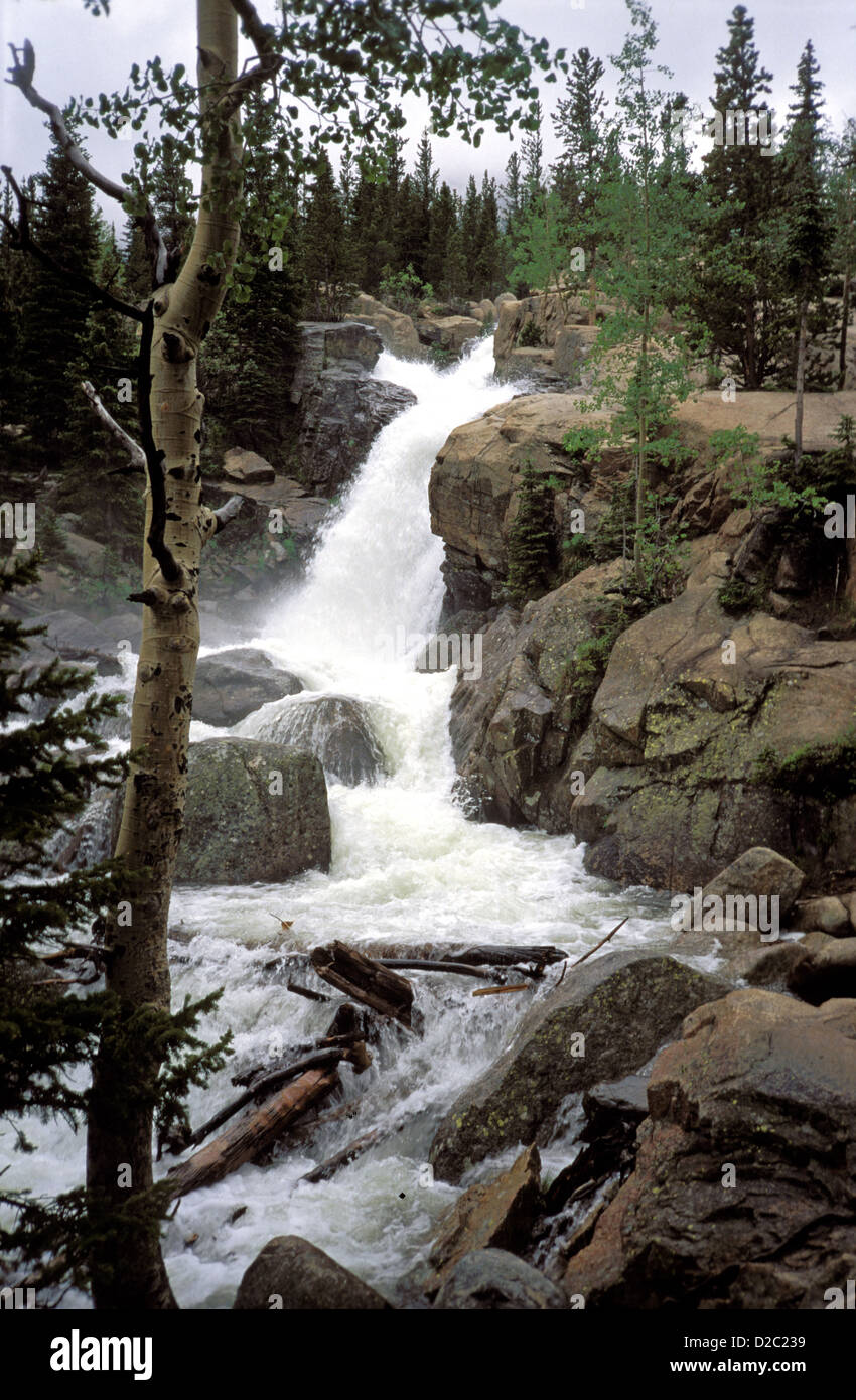 Colorado. Rocky Mountain National Park. Alberta Falls Stock Photo - Alamy