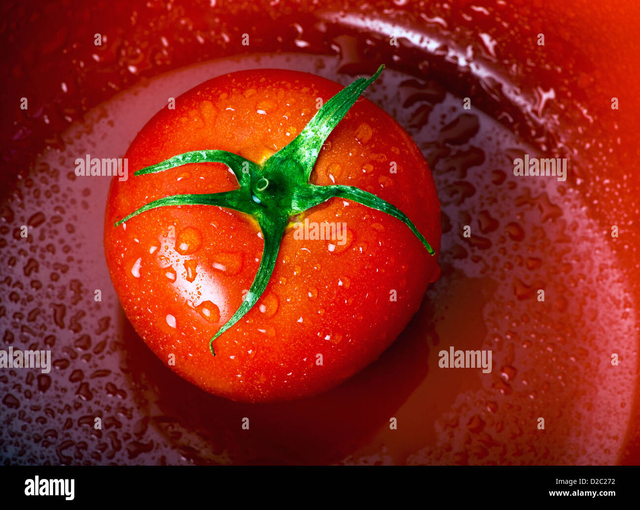 Fresh Farm Raised Tomato Stock Photo - Alamy