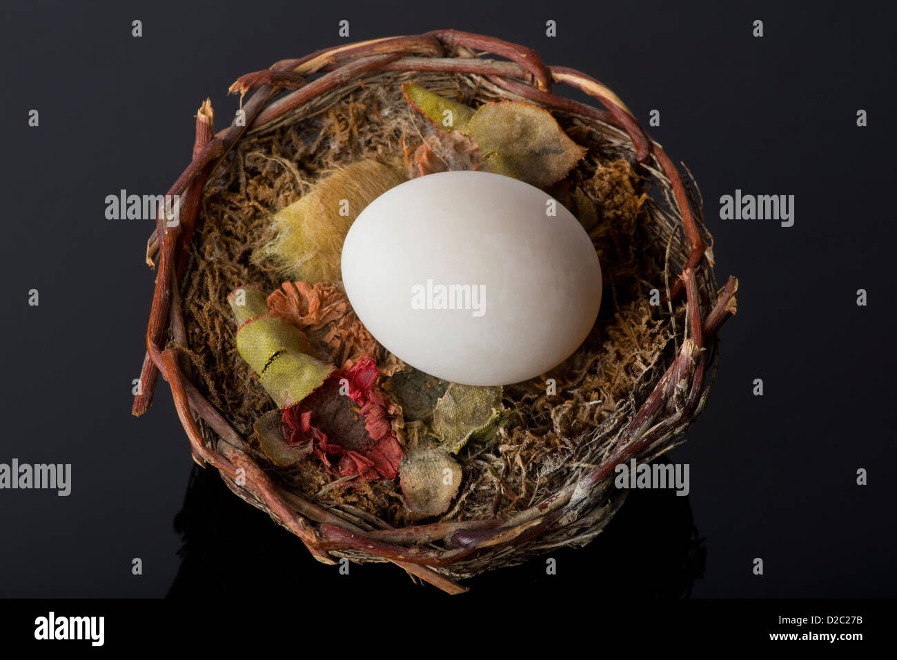 Empty nest egg hi-res stock photography and images - Alamy