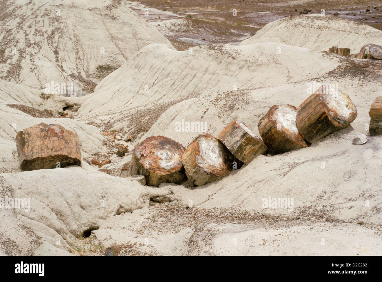 Arizona. Petrified Forest National Park. The Crystal Forest Stock Photo ...