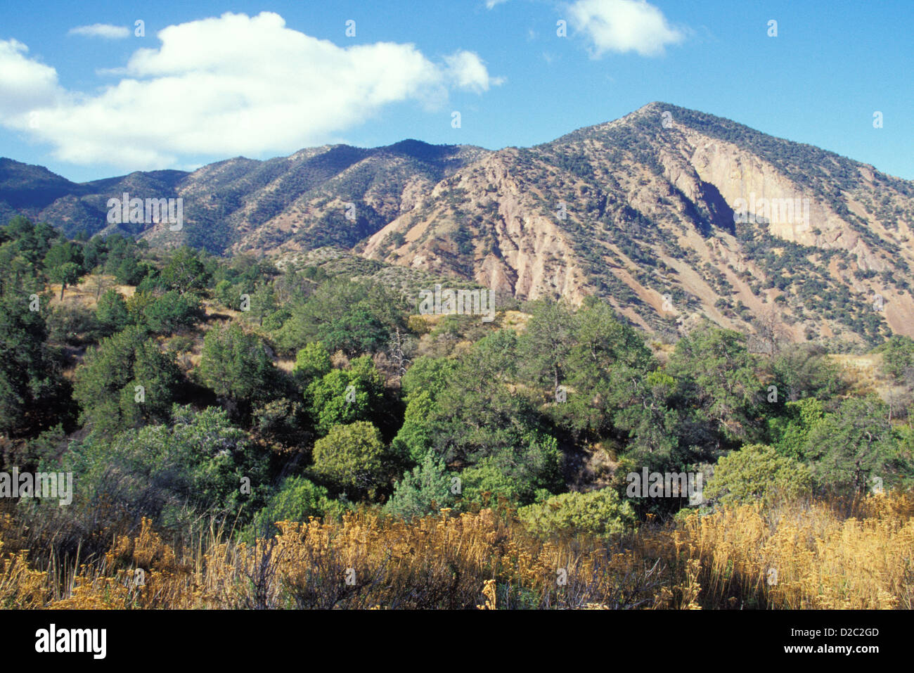 Texas. Big Bend National Park. Chisos Mountains From Chisos Basin Stock ...