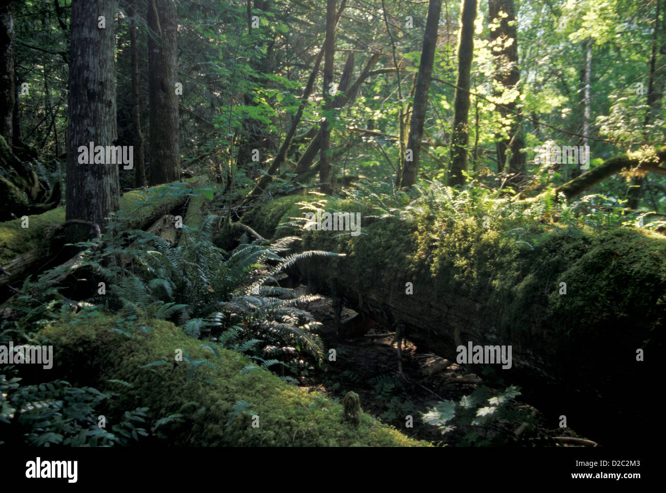 Newhalem hi-res stock photography and images - Alamy