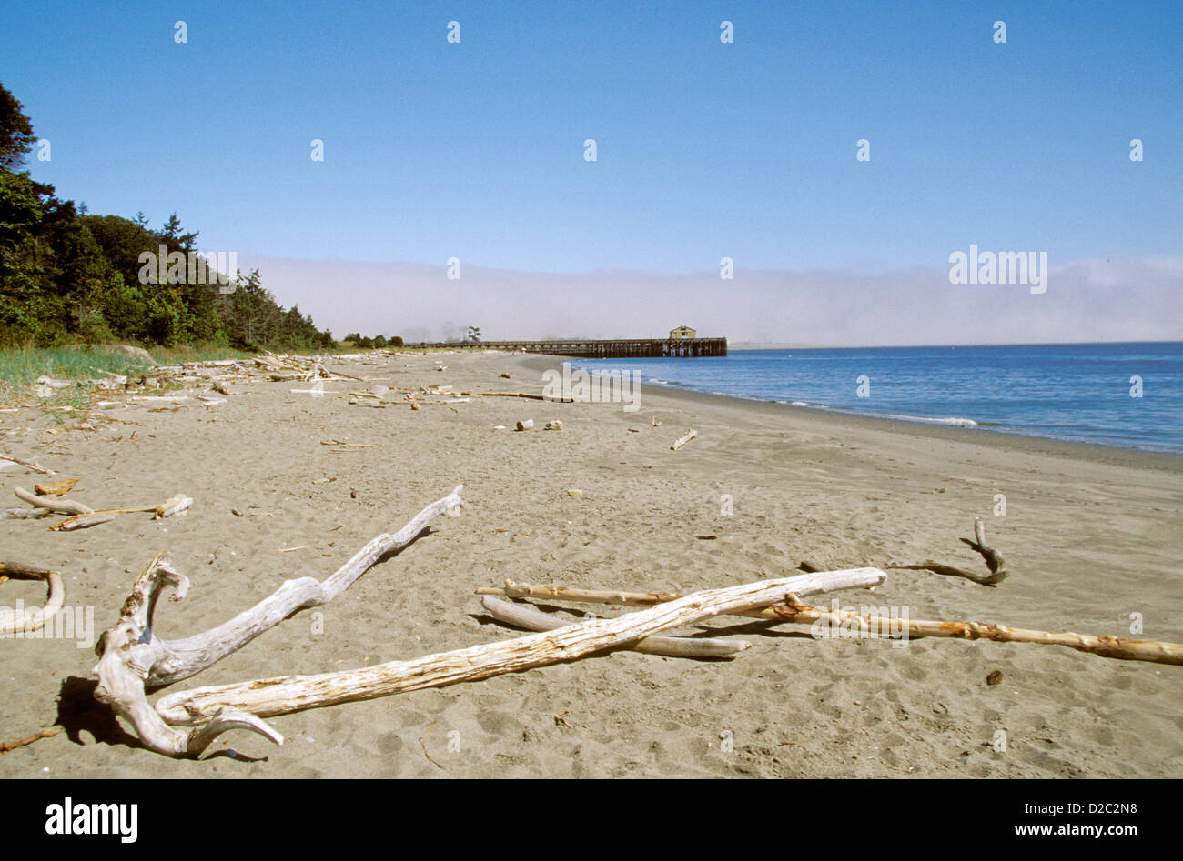 Washington. Beach At Admiralty Inlet. Fort Worden State Park Stock ...