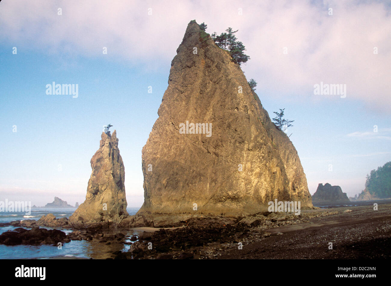 Washington. Olympic National Park. Sea Stacks On Rialto Beach Stock ...