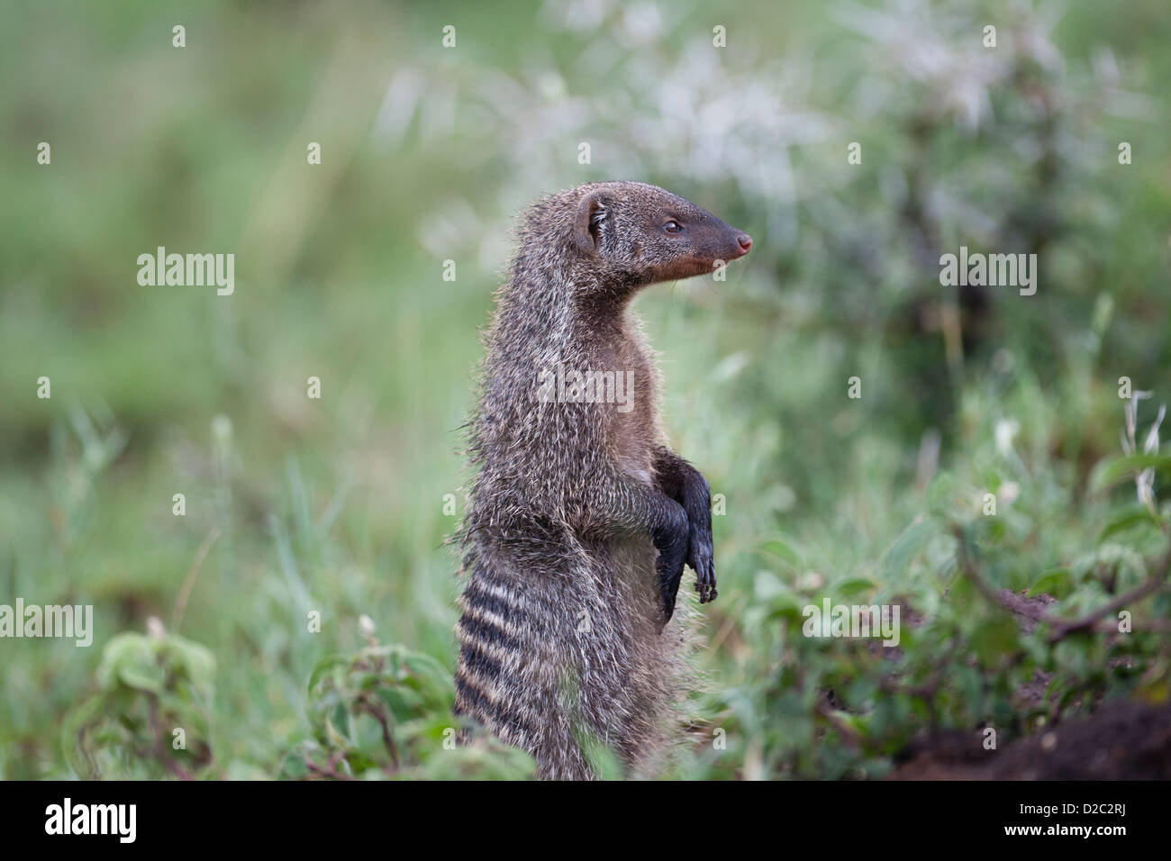 Newfilename hi-res stock photography and images - Alamy