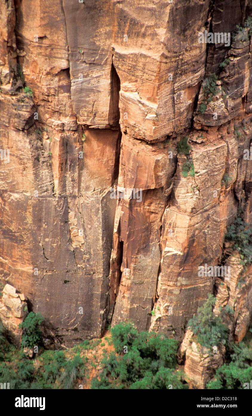 Utah. Zion National Park. Cliff Viewed From Canyon Overlook Trail Stock ...