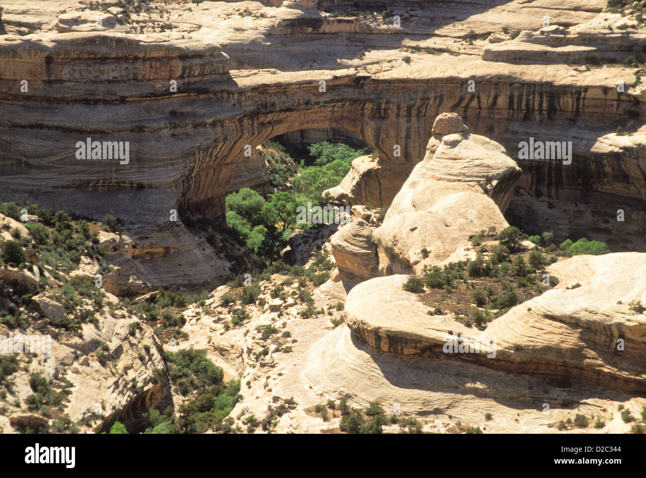 Utah. Natural Bridges National Monument. Sipapu Bridge Stock Photo - Alamy