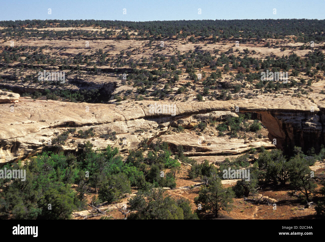 Utah. Natural Bridges National Monument. Owachomo Bridge Stock Photo ...