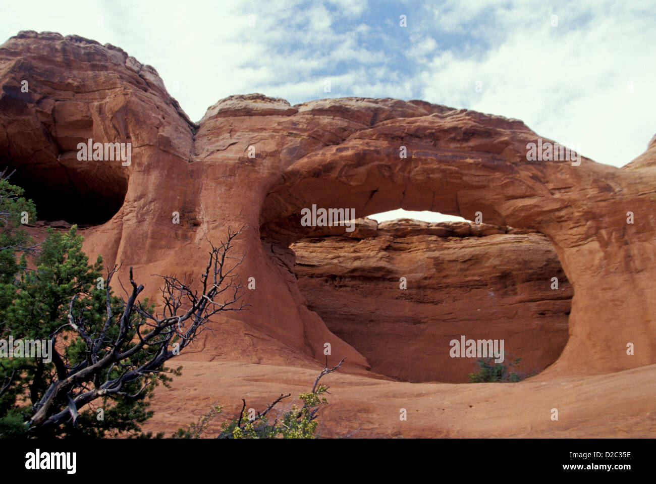Tapestry arch hi-res stock photography and images - Alamy