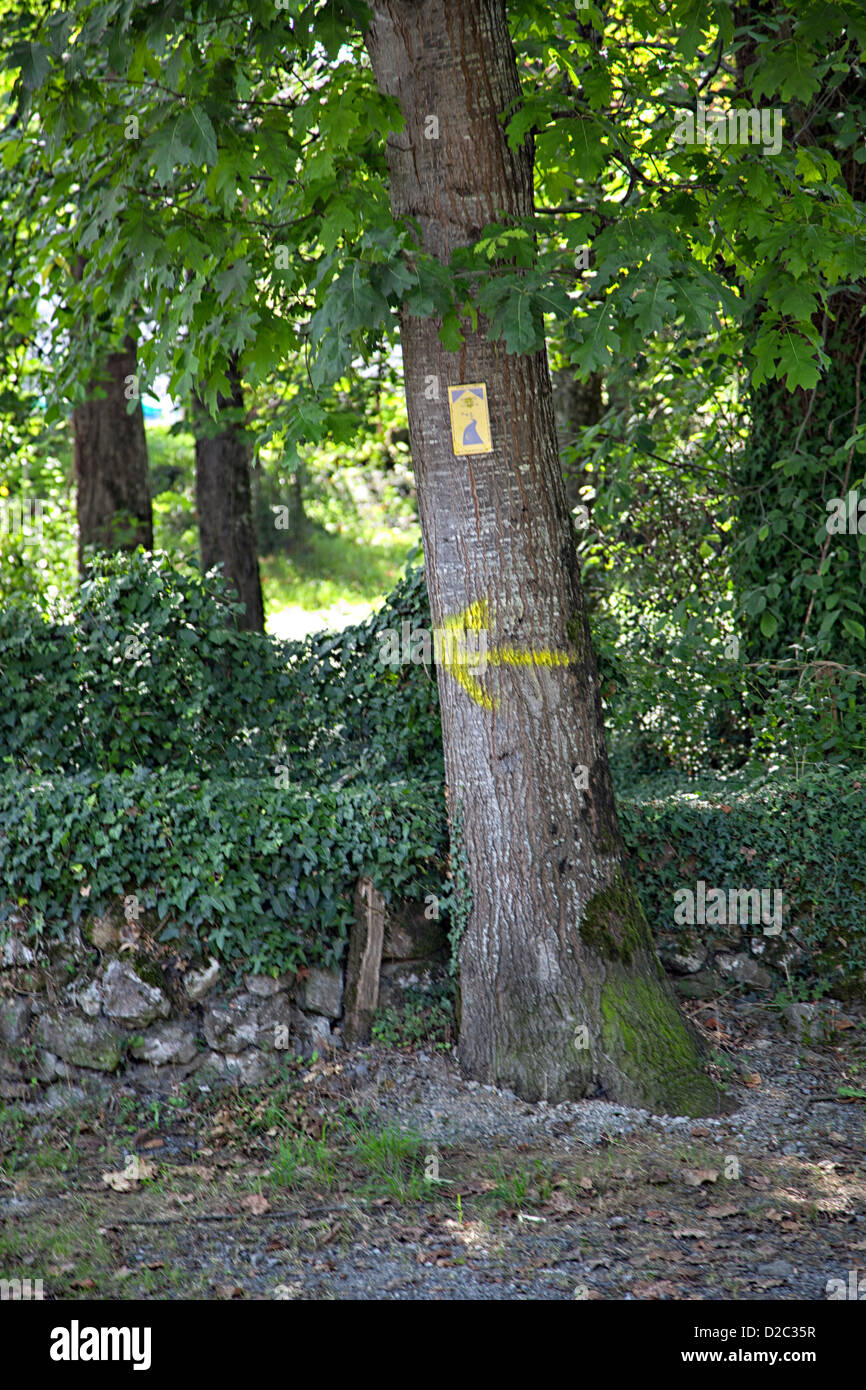 Camino yellow arrow sign painted on a tree, showing the way for ...