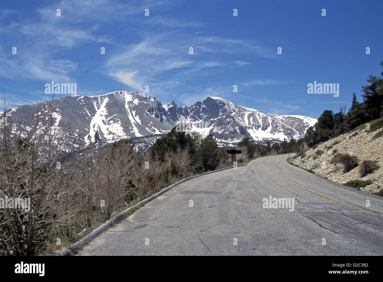 Nevada. Great Basin National Park. Wheeler Peak Scenic Drive Stock ...