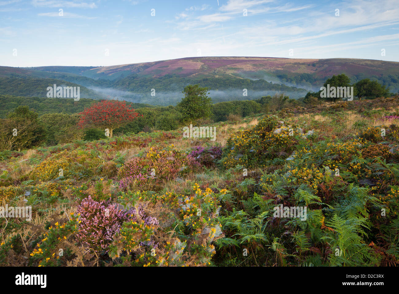 Quantocks hi-res stock photography and images - Alamy