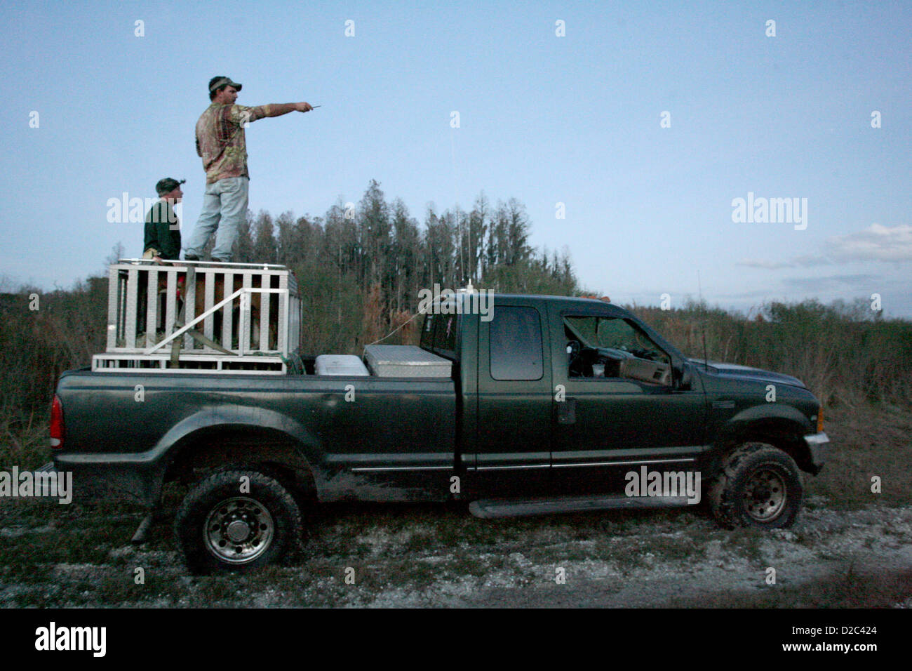 Hog hunting florida hi-res stock photography and images - Alamy