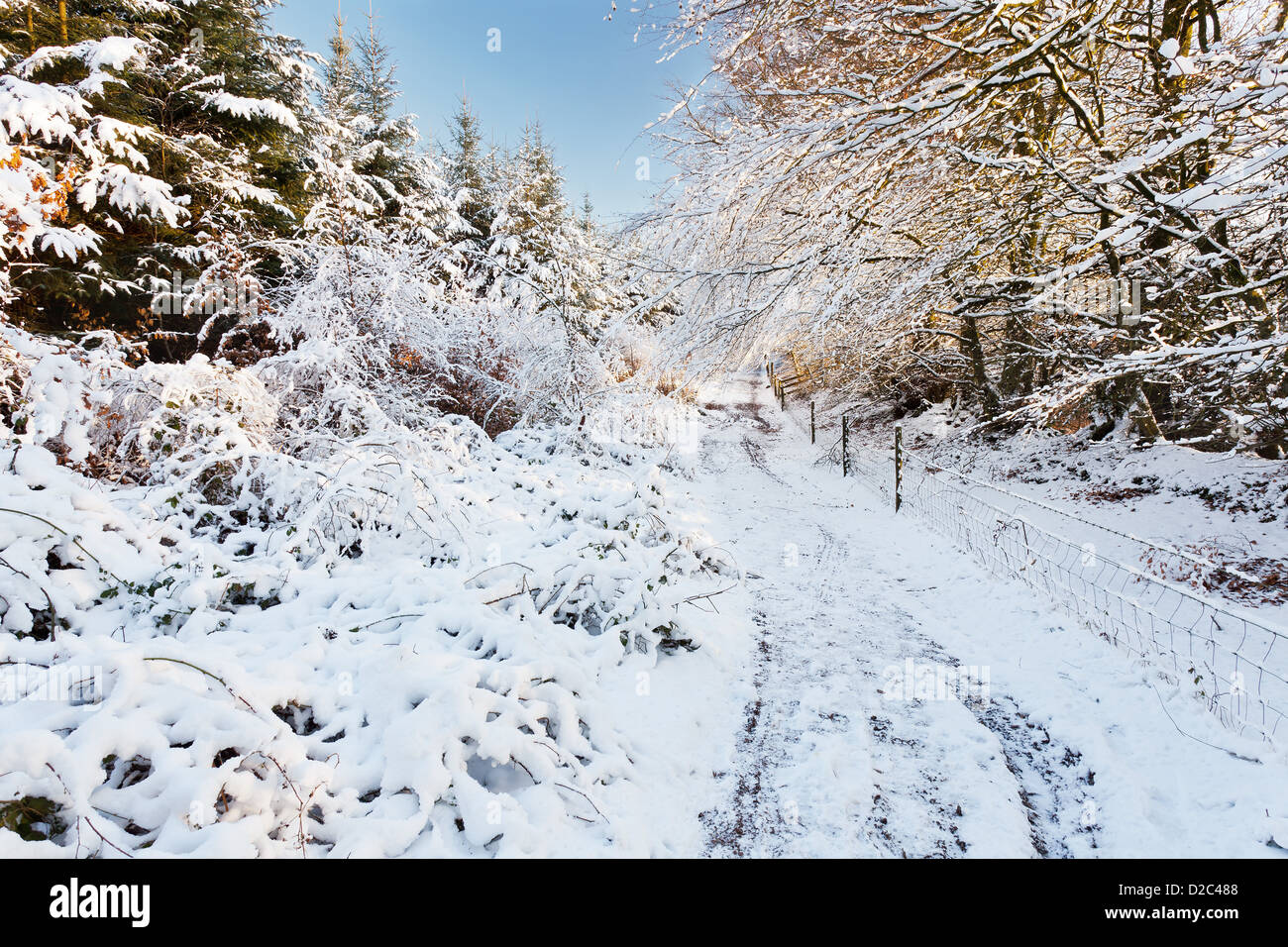 Snow on Quantock Hills Stock Photo - Alamy