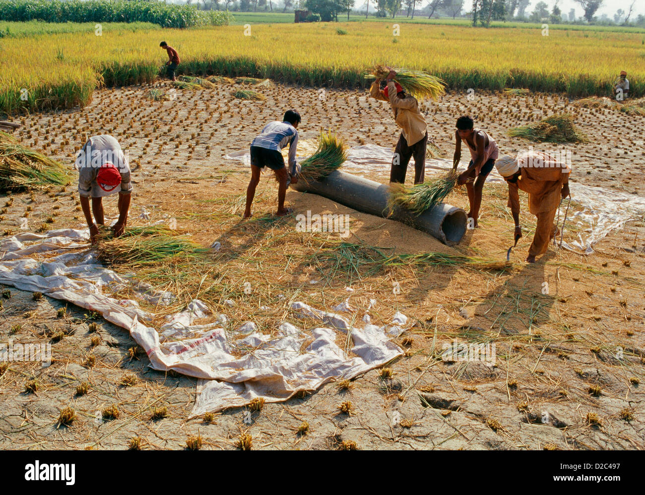 Hard object hi-res stock photography and images - Alamy