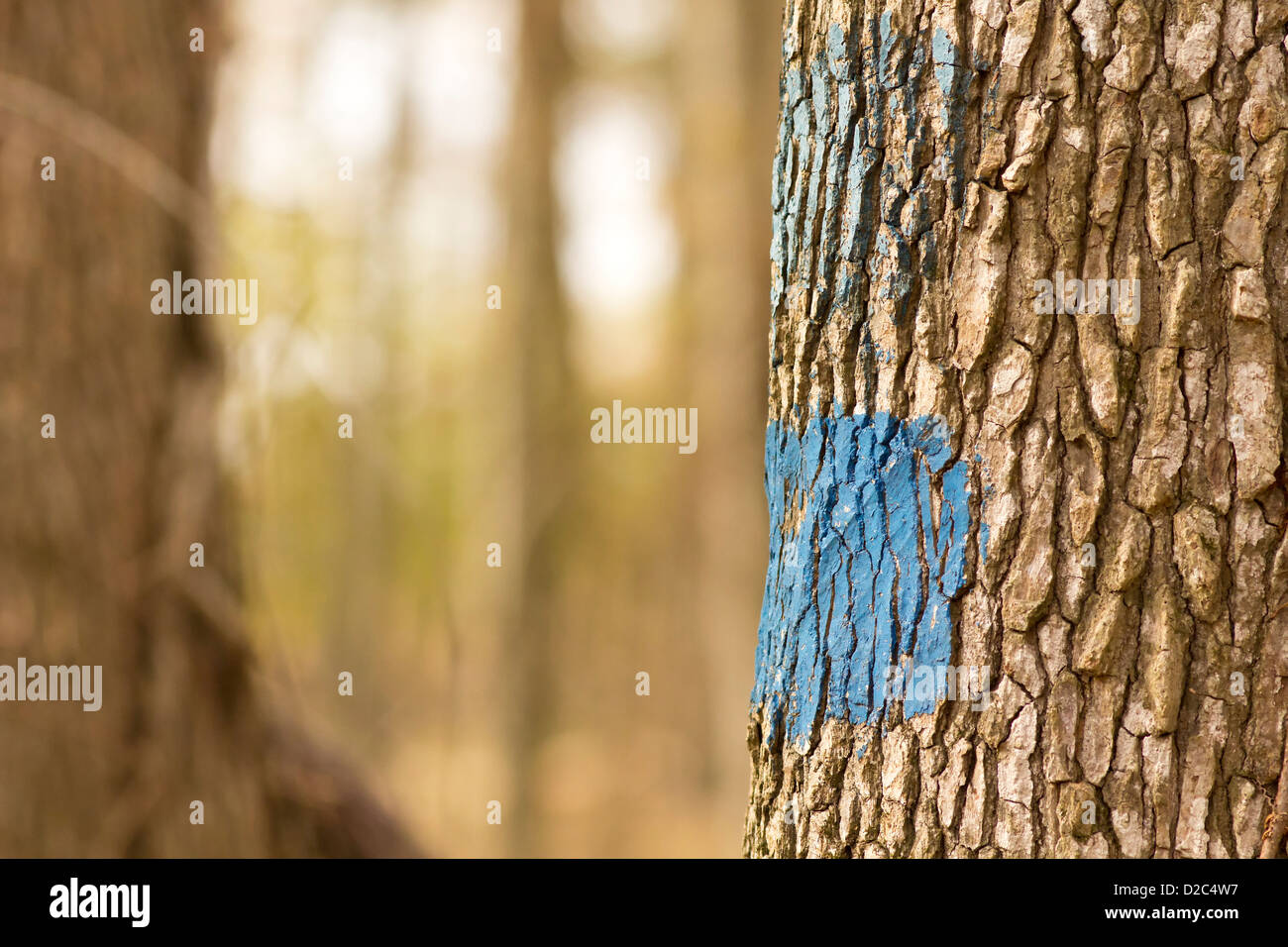 painted tree "boundary marker Stock Photo - Alamy