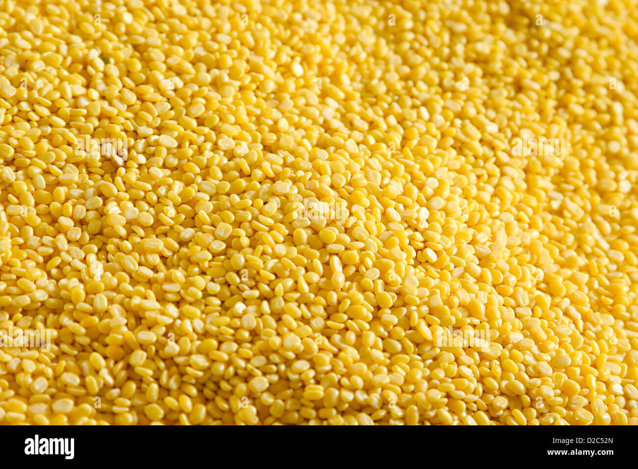 Beans, Moong Dal, Split Skinned Mung Beans, Phaseolus Aureus, India ...