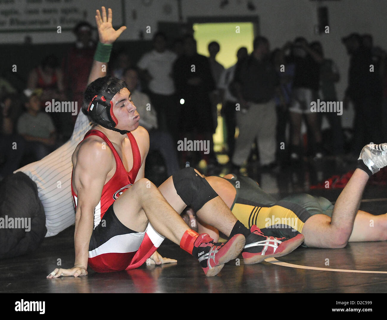 Logan thompson hi-res stock photography and images - Alamy